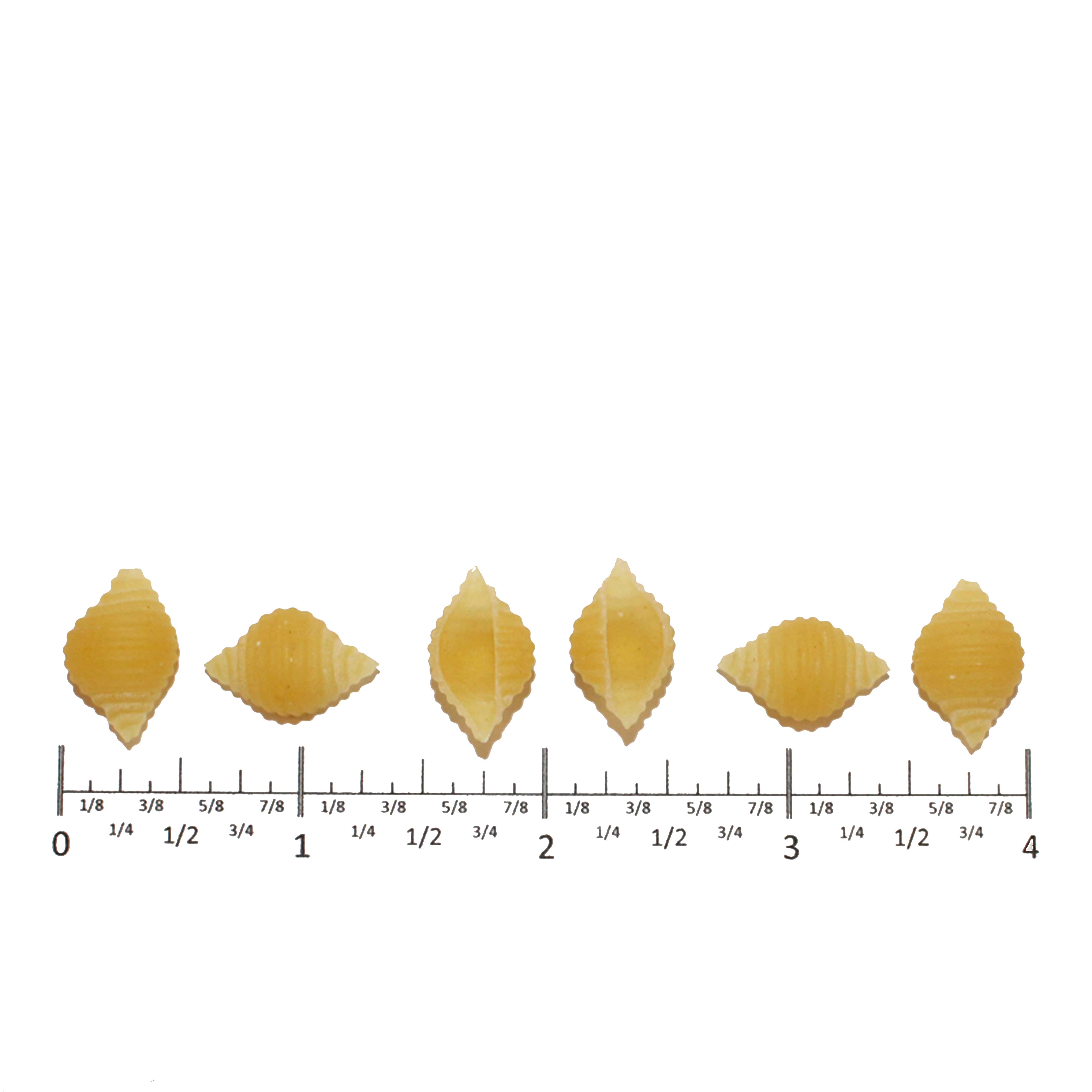 Costa Small Shell Pasta, 20 Pound.