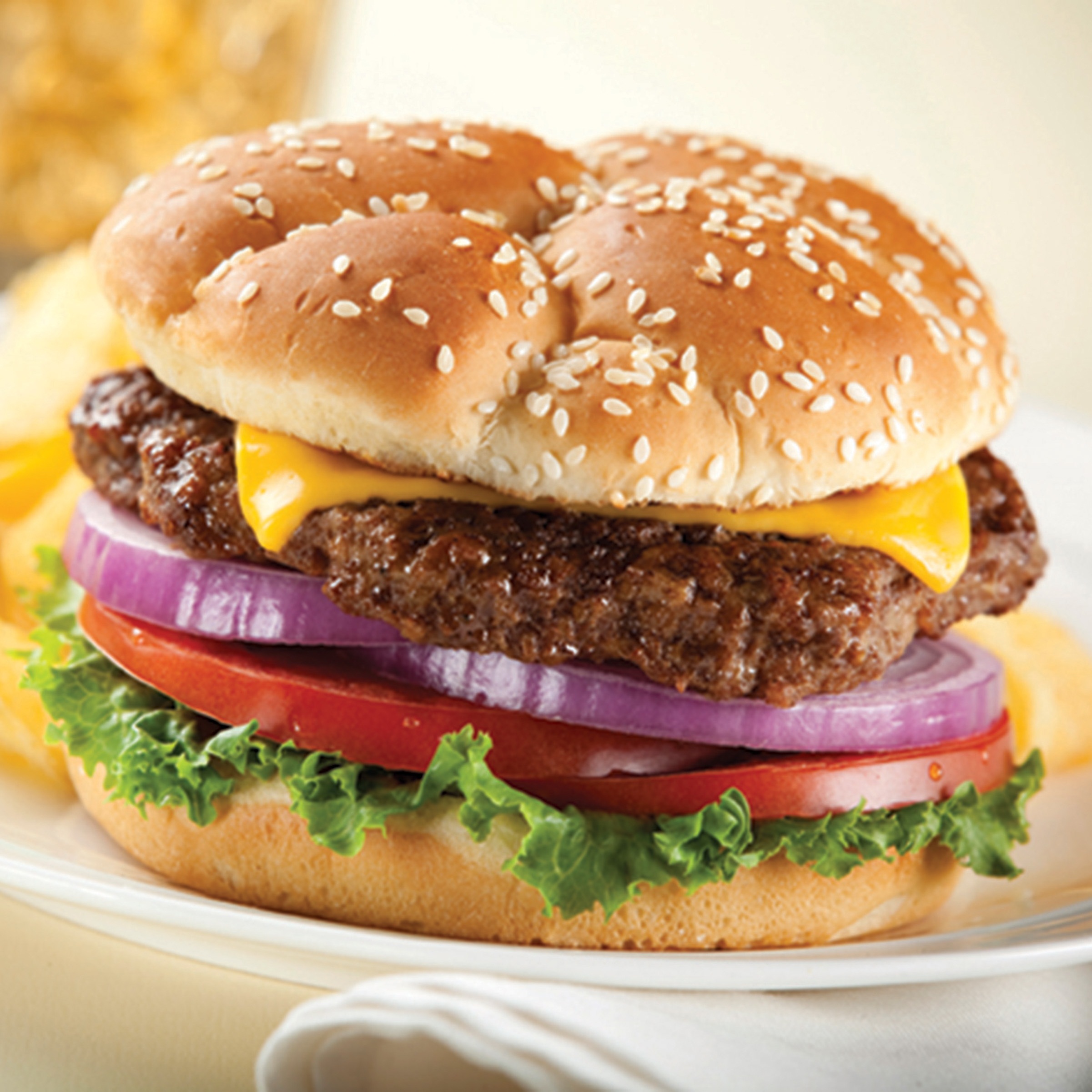 Advancepierre Flame Grilled Beef Steak Burger Case | FoodServiceDirect