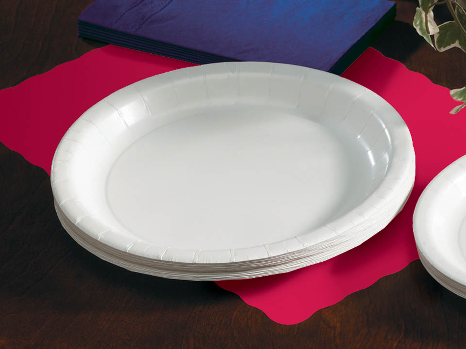 Hoffmaster White Coated Paper Plate, 9 inch -- 500 per case ...