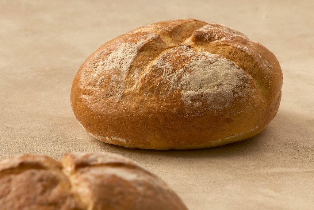 Gonnella Mountain Bread Dough, 20 Ounce -- 20 per case.