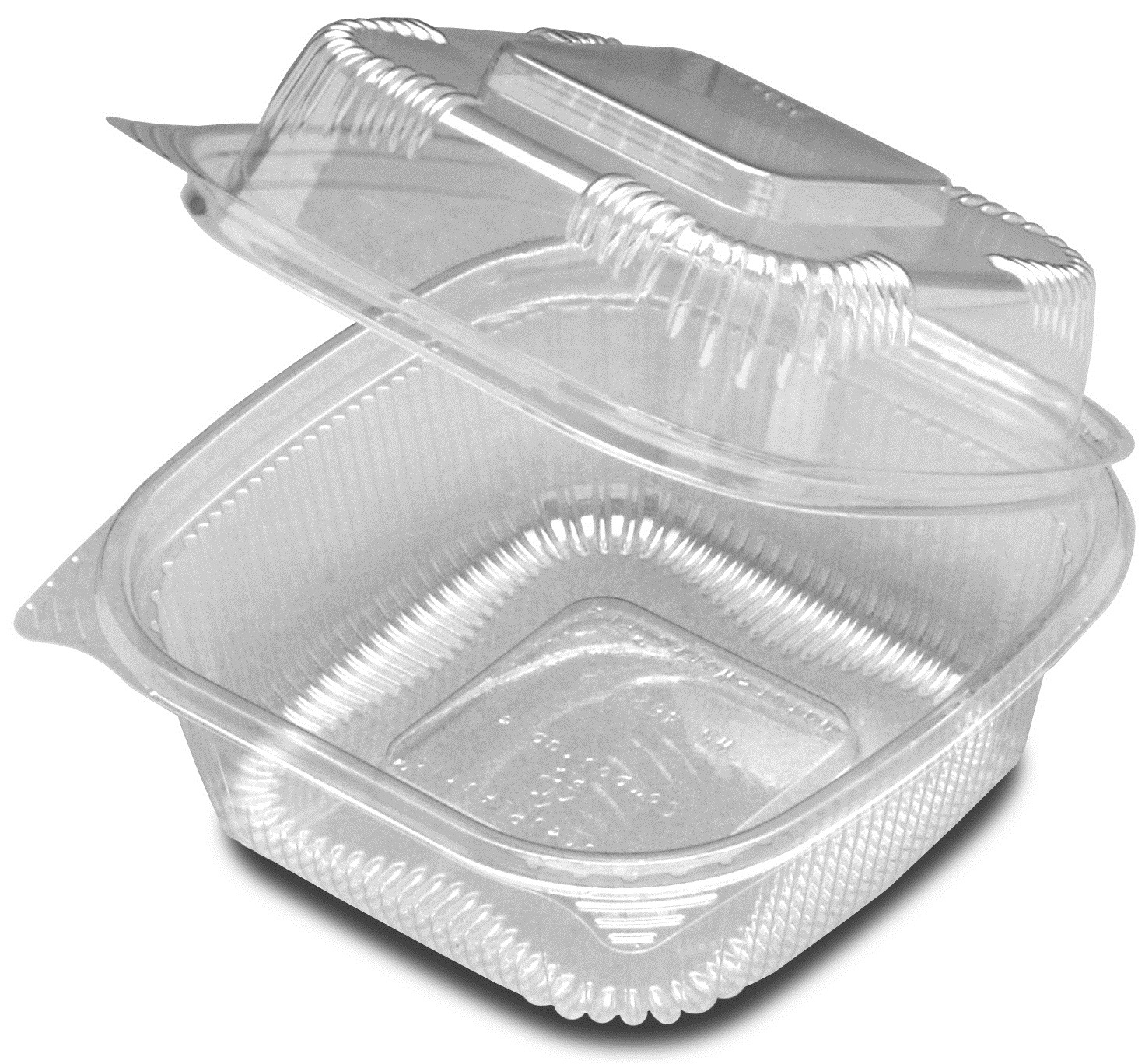 Seeshell Plastic Clear Hinged Container, 6 inch -- 250 per case ...