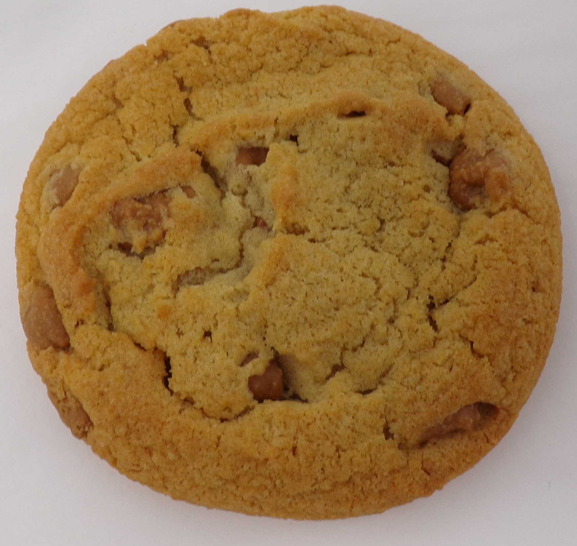 Aphrodite Peanut Butter Cookie Dough Puck Case | FoodServiceDirect
