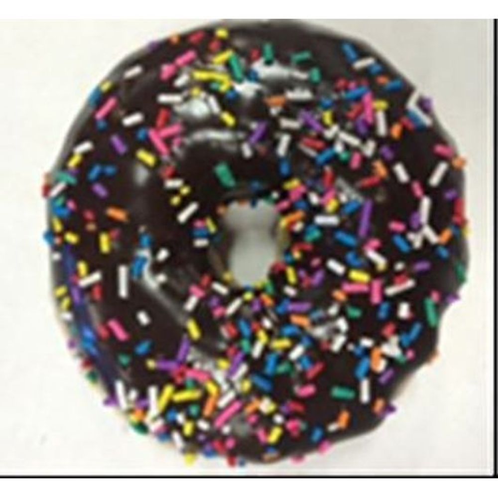 Prairie City Bakery Premium Chocolate Glazed Yeast Donut with Sprinkles ...