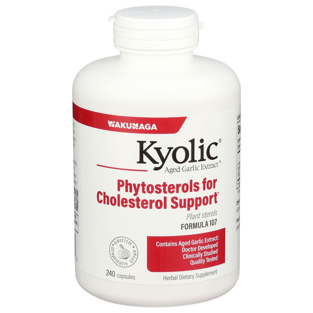 Kyolic Aged Garlic Extract Formula 107 Phytosterols for Cholesterol ...
