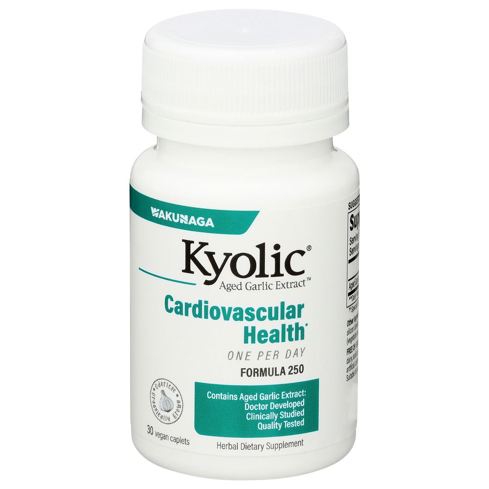 Kyolic Aged Garlic Extract Formula 250 Cardiovascular Health Dietary ...