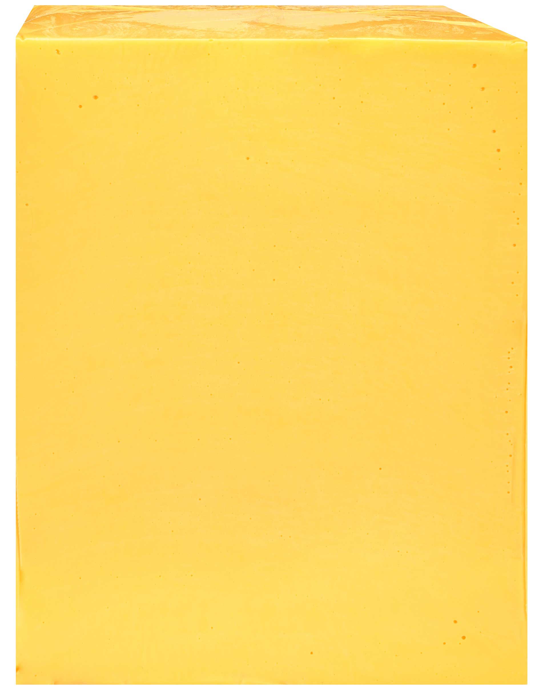 Land O Lakes Golden Velvet Yellow Cheese Spread | FoodServiceDirect