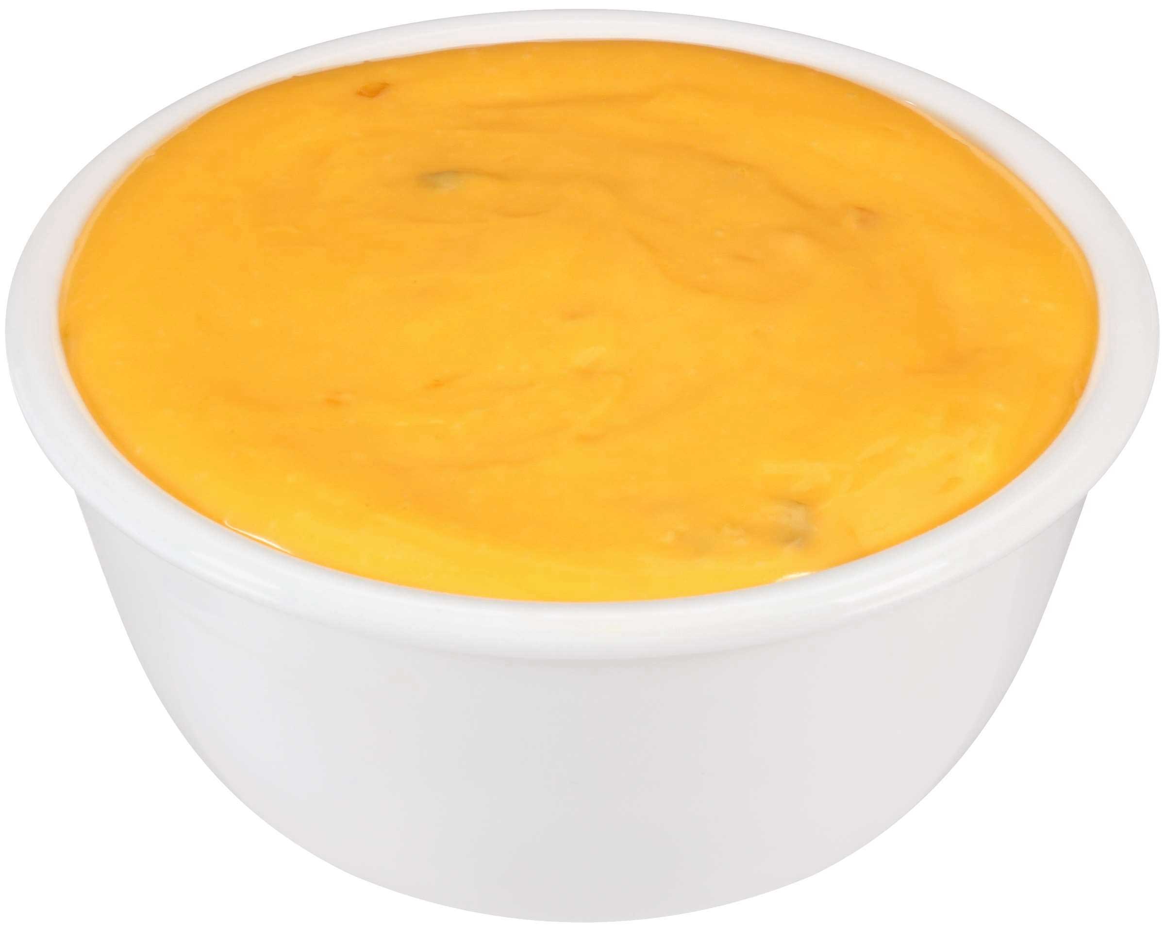 Land O Lakes Queso Bravo Yellow Cheese Dip | FoodServiceDirect