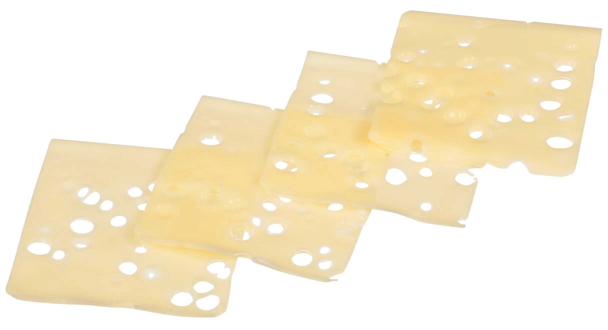 Swiss Cheese Slice