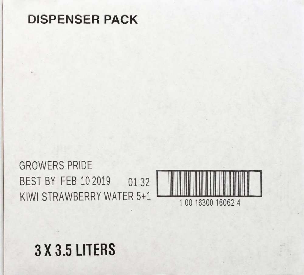 Floridas Natural Growers Pride Kiwi Strawberry Flavored Water, 3.5 ...