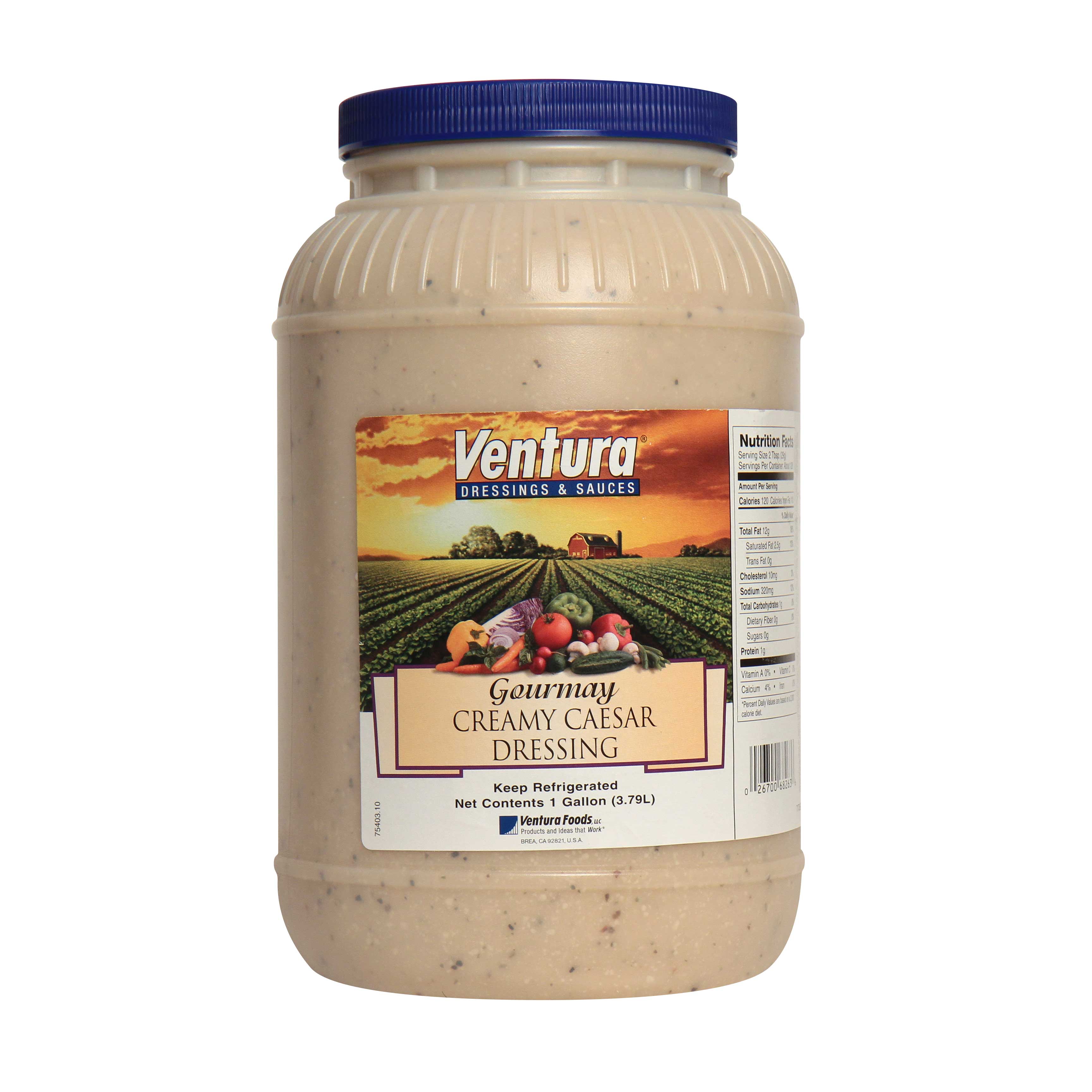 Gourmay Creamy Caesar Dressing Case | FoodServiceDirect