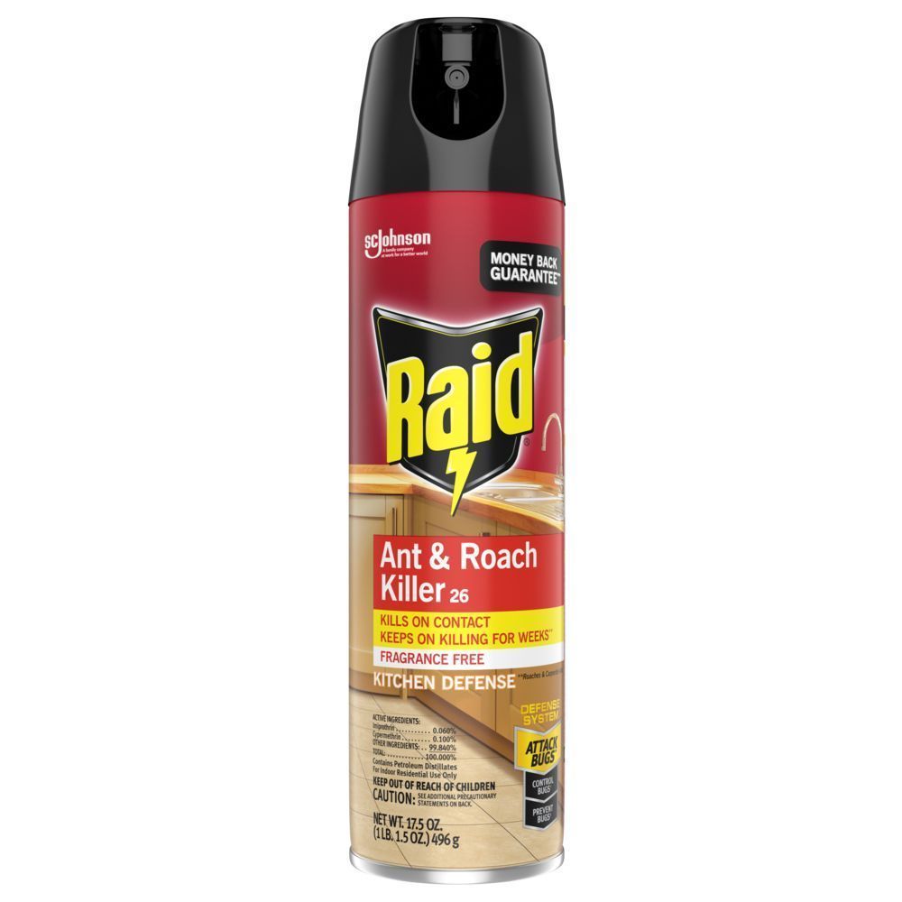 Raid No Fragrance Ant and Roach Killer, 17.5 Ounce Aerosol -- 12 per case.