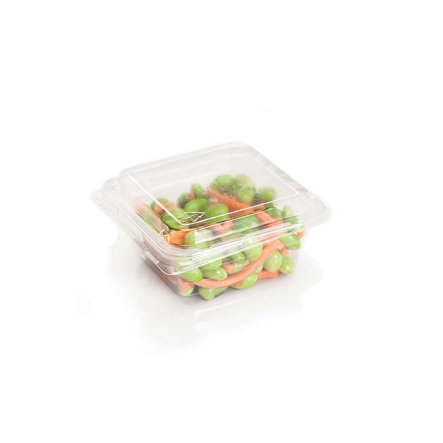Par Pak Plastic 1 Compartment Carryout Food Container with Hinged Lid ...