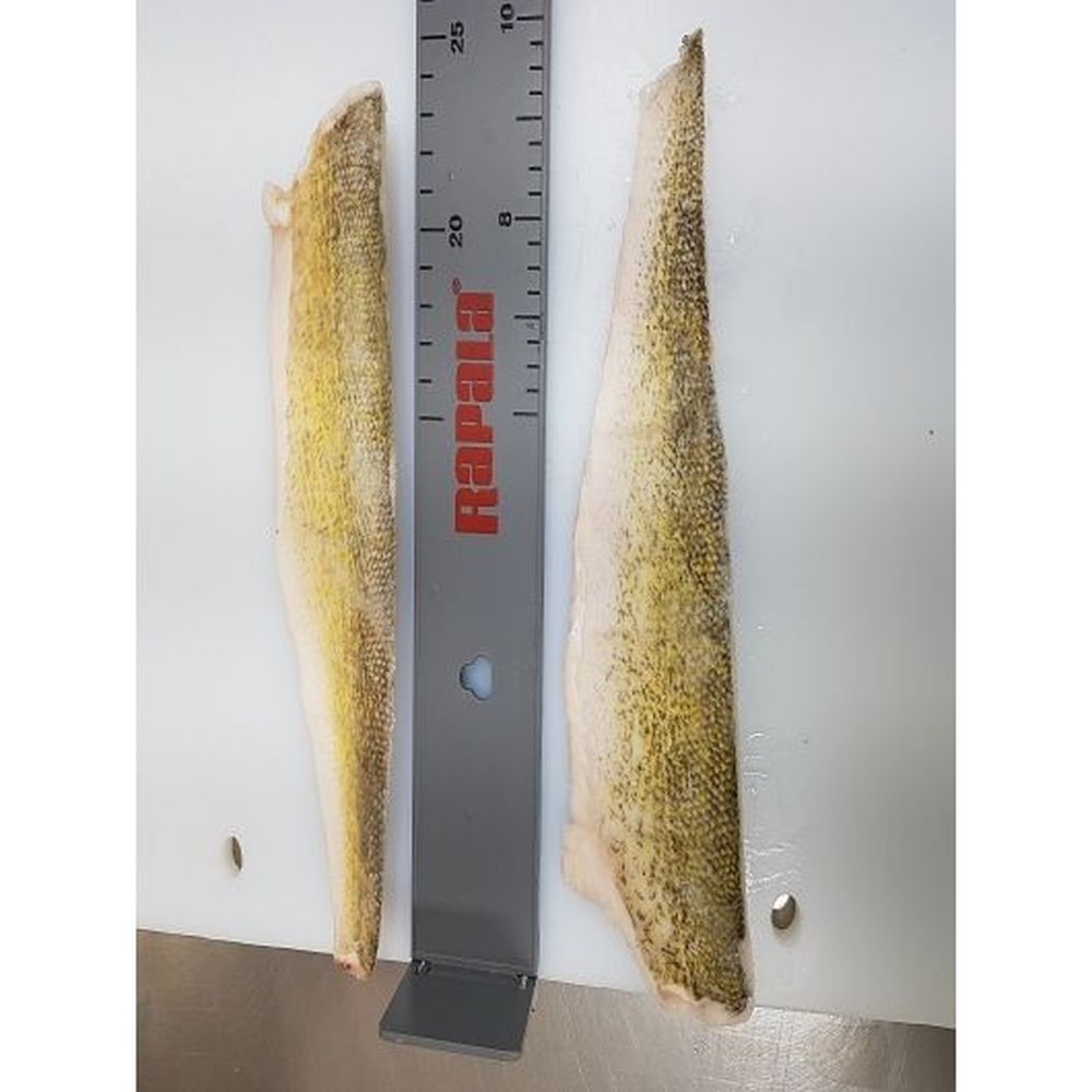 Freshwater Fish Individually Quick Frozen 6-8 Ounce Skin On Walleye ...
