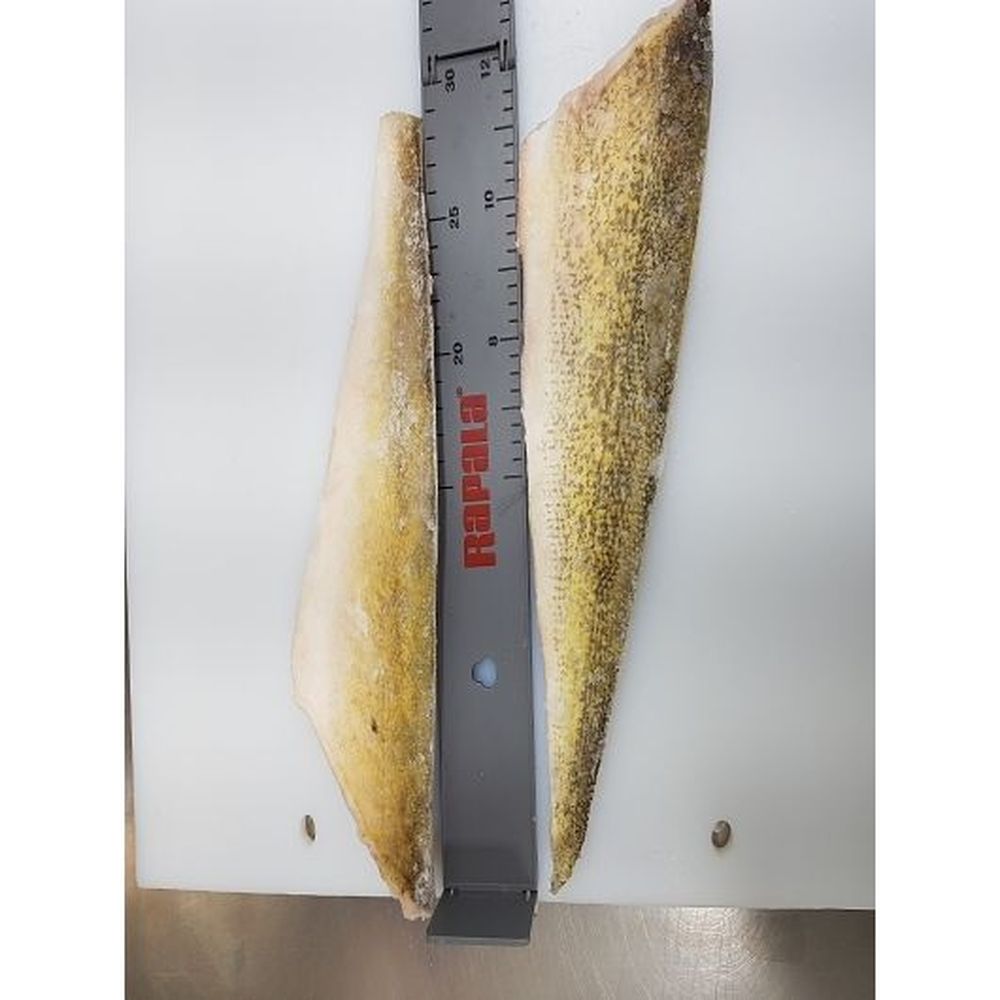 Freshwater Fish Individually Quick Frozen 8-10 Ounce Skin On Walleye ...