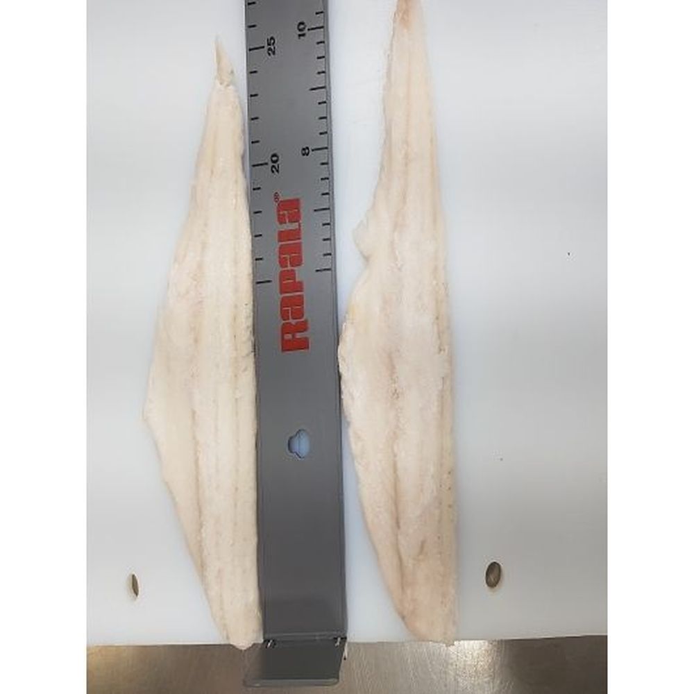 Freshwater Fish Individually Quick Frozen 4-6 Ounce Skinless Walleye ...