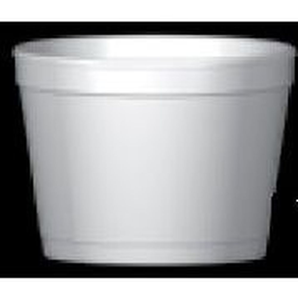 Wincup Vio F12 Hot or Cold White Food Container, 12 Ounce Capacity ...