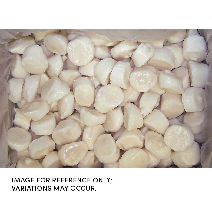 Frozen Seafood Commodity Scallop Individual Quick Frozen Processed 30 ...