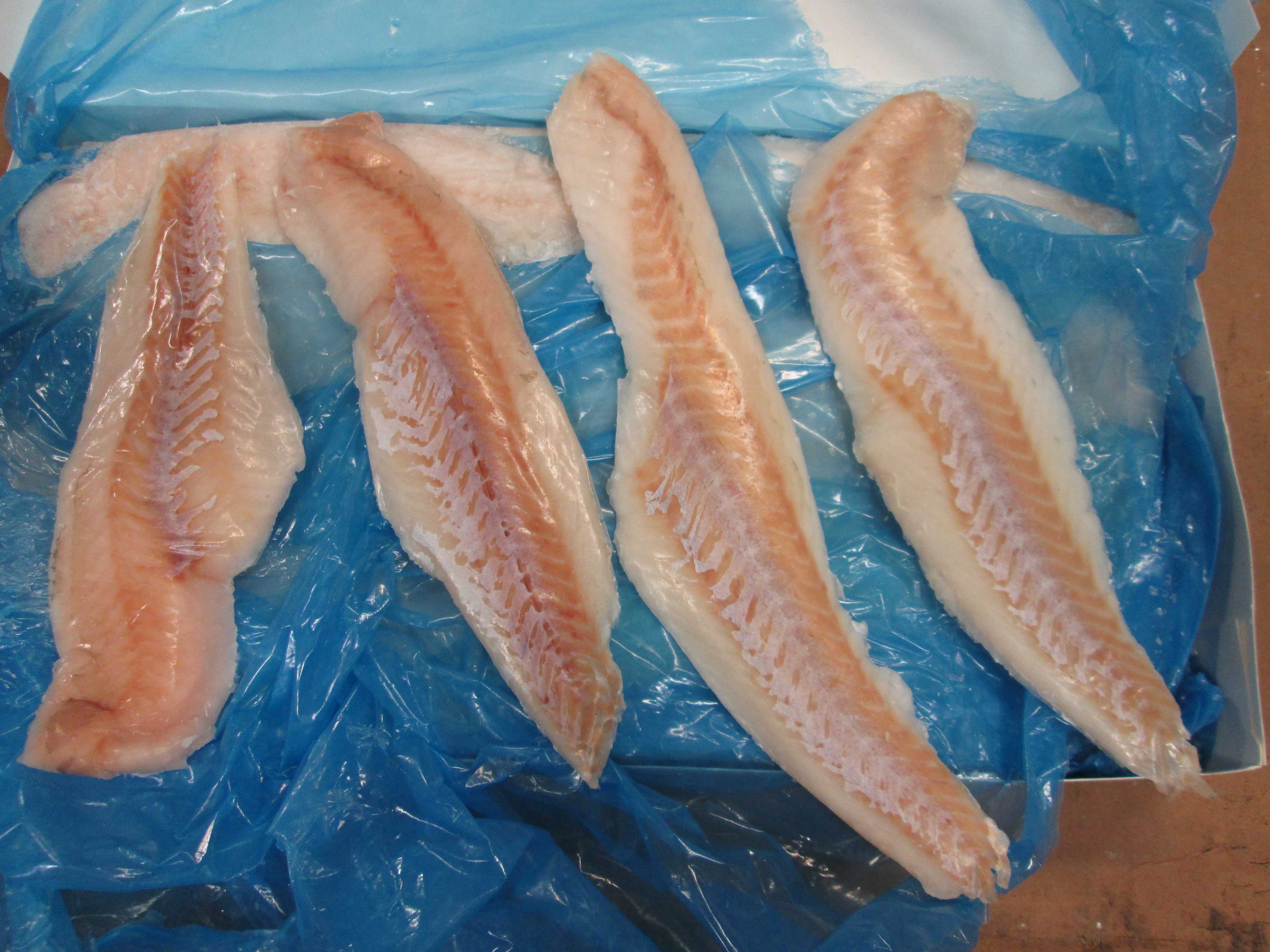 Frozen Seafood 4-6 Ounce Alaskan Pollock - Shatter Pack, 15 Pound -- 3 ...