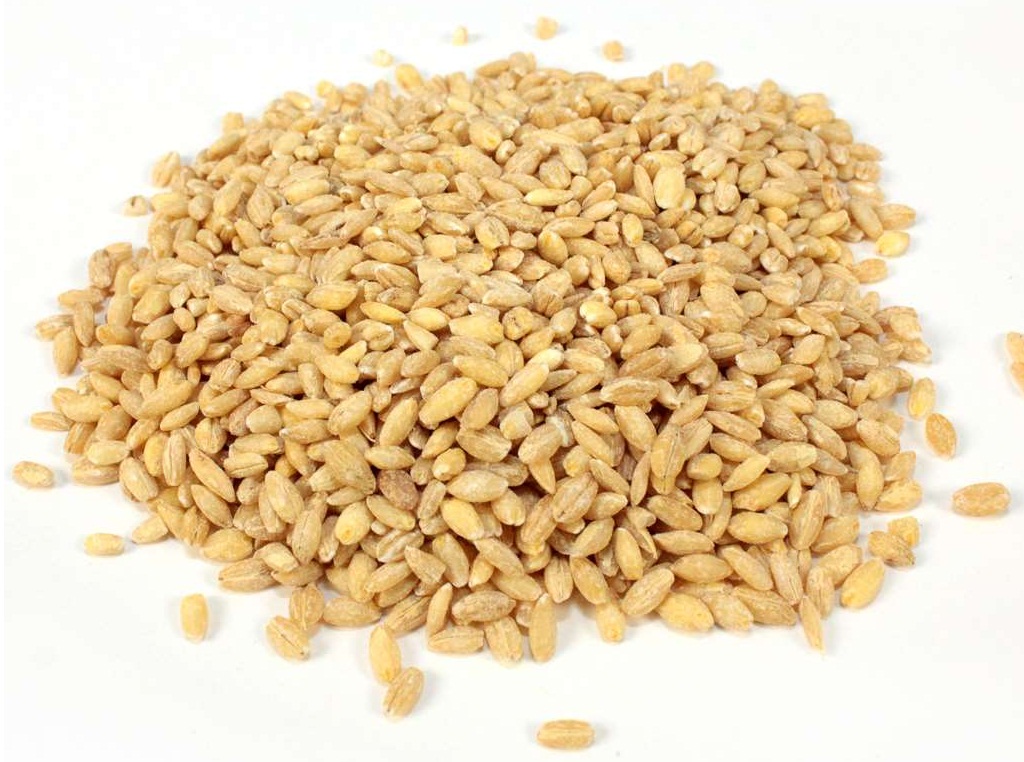 Commodity Beans Pearl Bean Barley, 25 Pound Bag