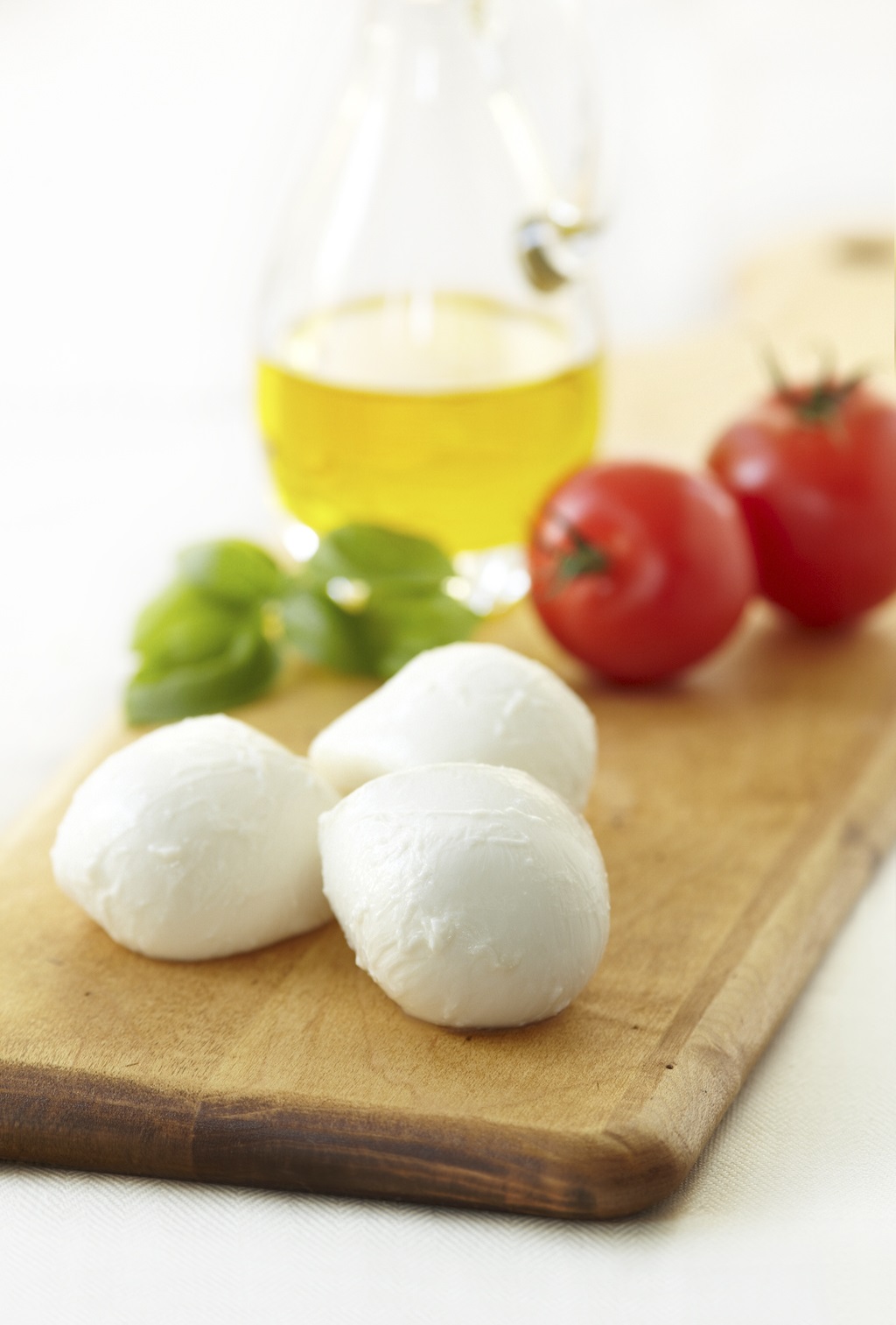 Galbani Fresh Mozzarella Bocconcini Case | FoodServiceDirect