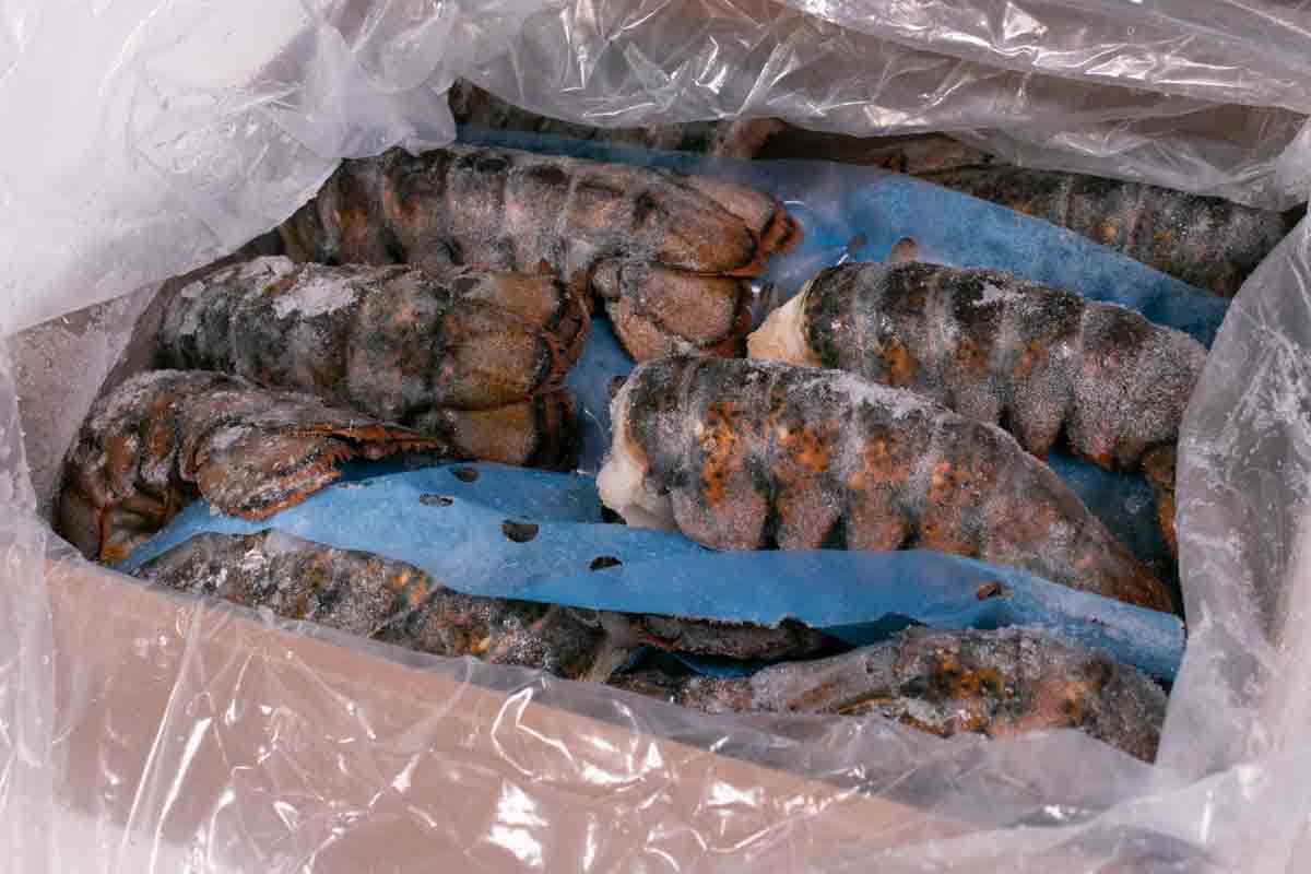 how to cook frozen canadian lobster