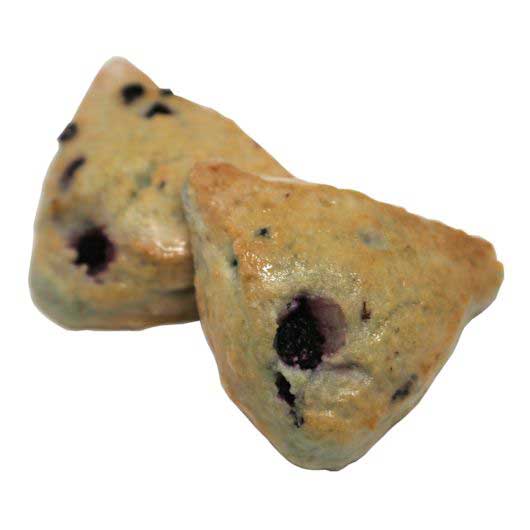 Two Bite Blueberry Scones | FoodServiceDirect