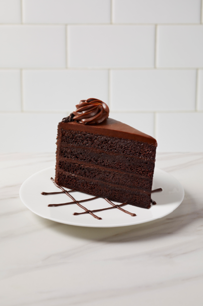 The Cheesecake Factory Bakery Fudge Cake Case | FoodServiceDirect