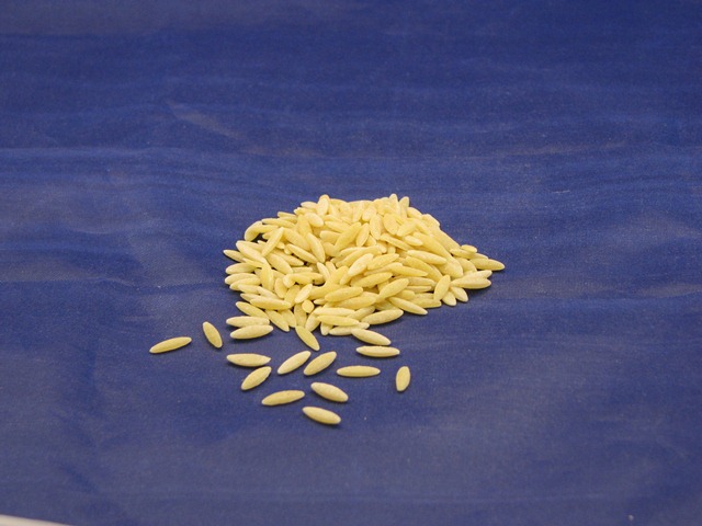 Ravarino and Freschi Short Orzo Rosamarina Pasta, 5 Pound -- 4 per case ...