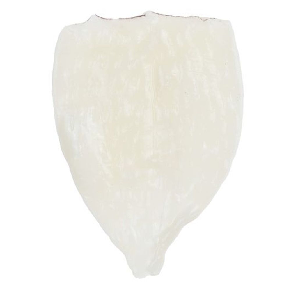 Panapesca Squid Chips - Portion Pack, 5 Pound -- 20 per case
