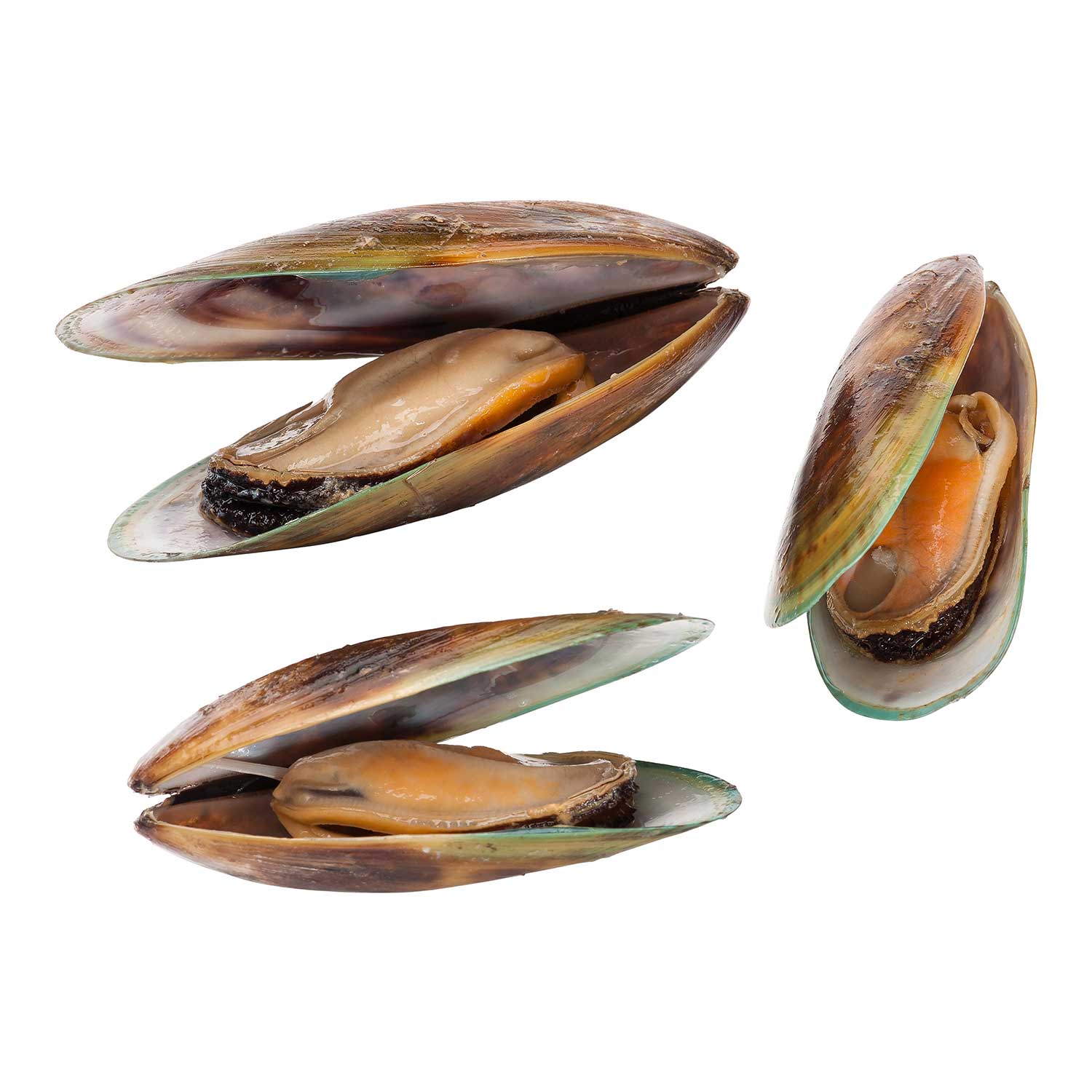 Pana Pesca New Zealand Green Shell Whole Mussel - Lip Shape, 2 Pound ...