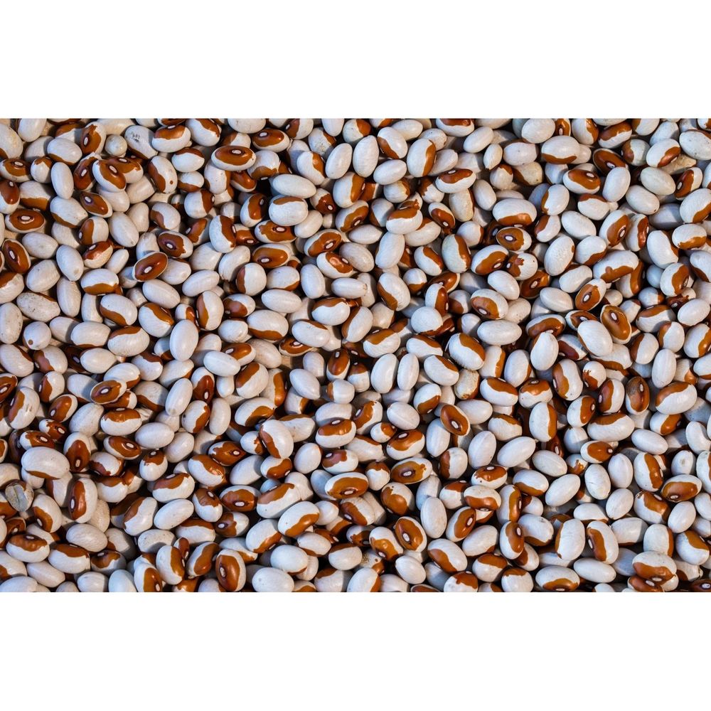 Rancho Gordo Yellow Eye Bean, 16 Ounce -- 12 per case