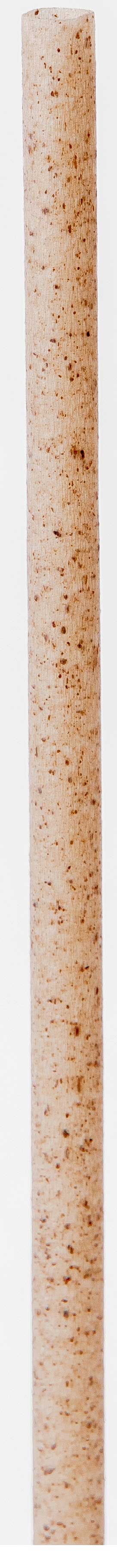 Greenprint Agave Natural Unwrapped Straw Case | FoodServiceDirect