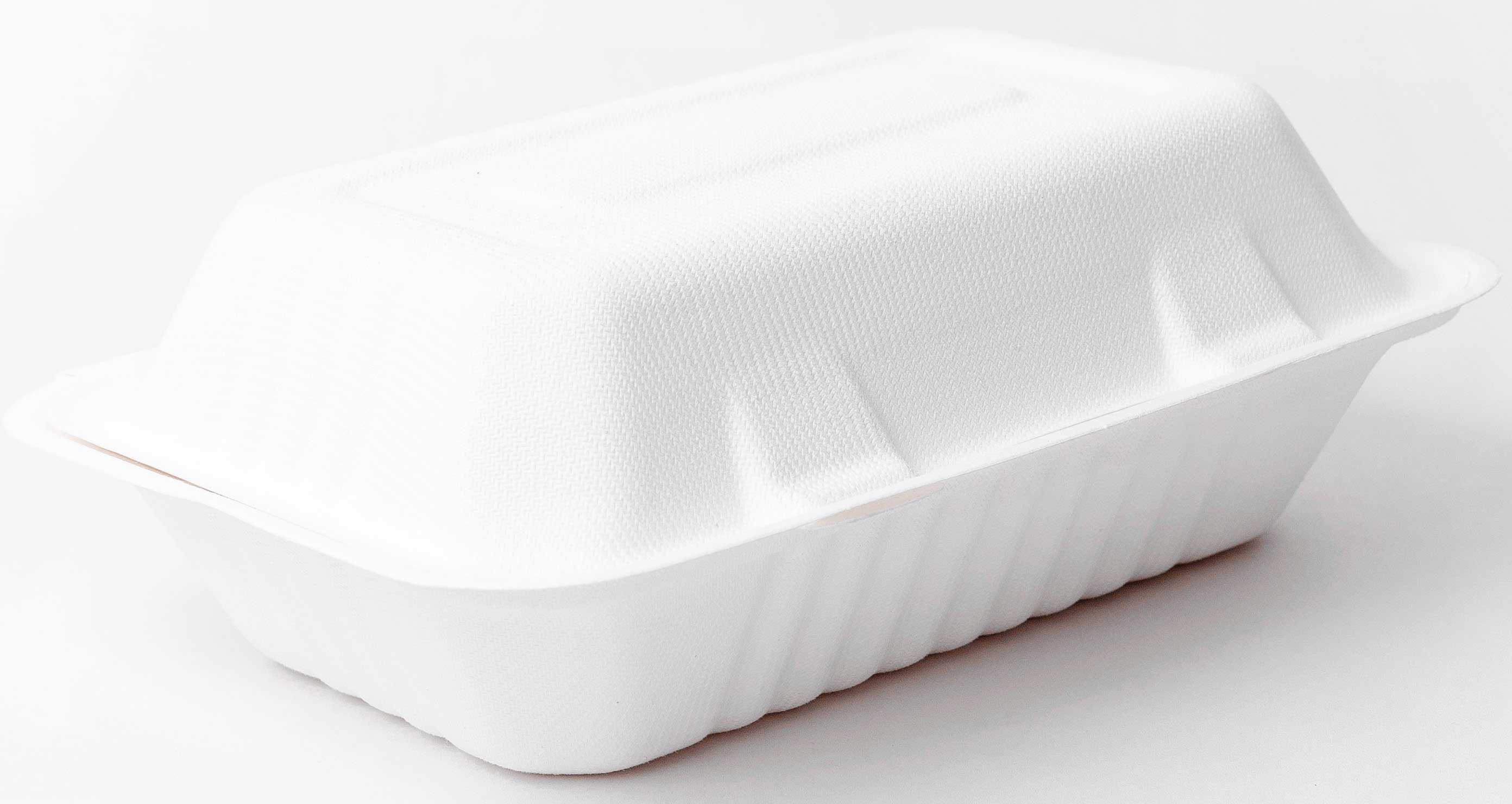 Greenprint Hoagie 1 Compartment Clamshell Box, 9 x 6 inch -- 250 per ...