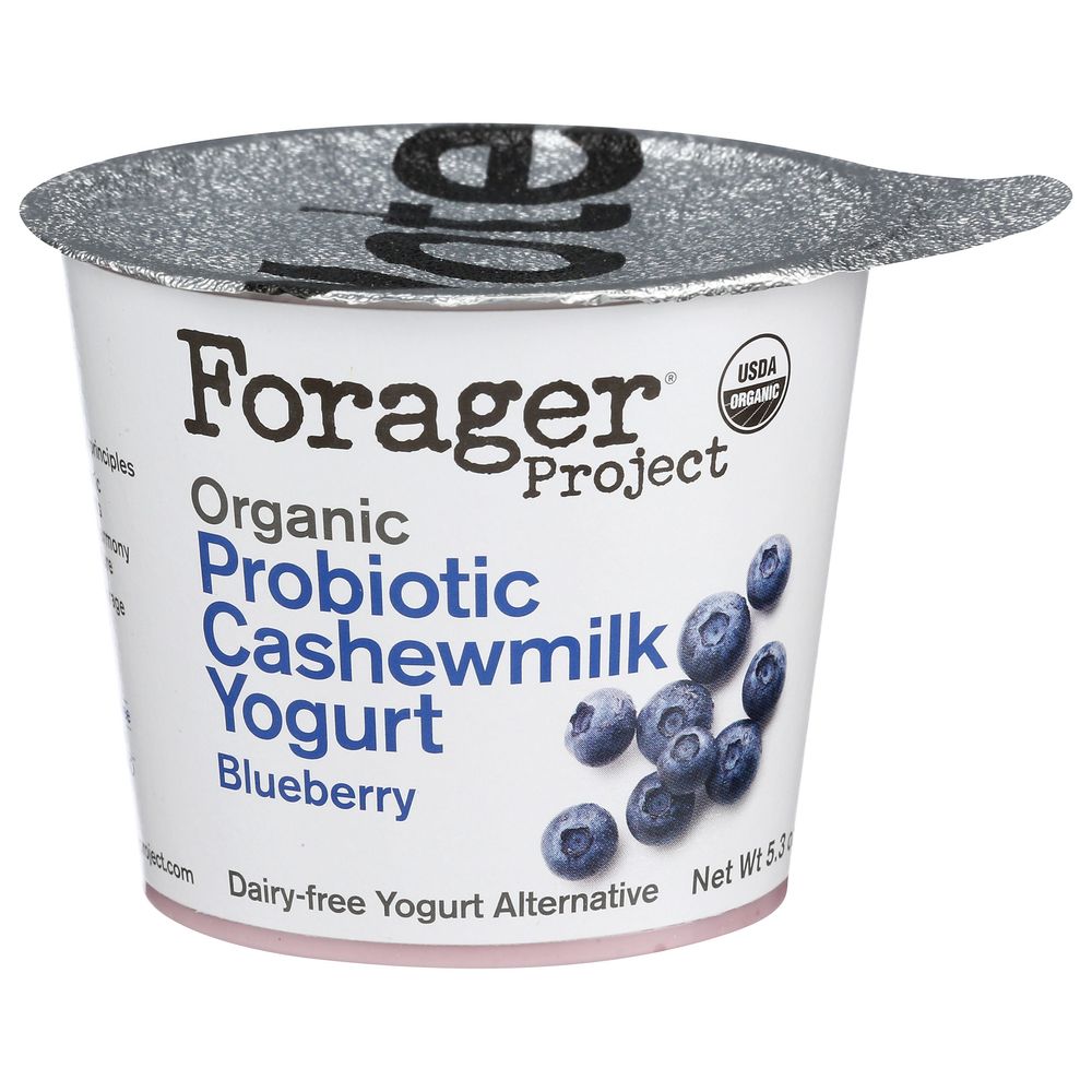 Forager Organic Dairy Free Blueberry Cashewmilk Yogurt, 5.3 Ounce -- 6 ...