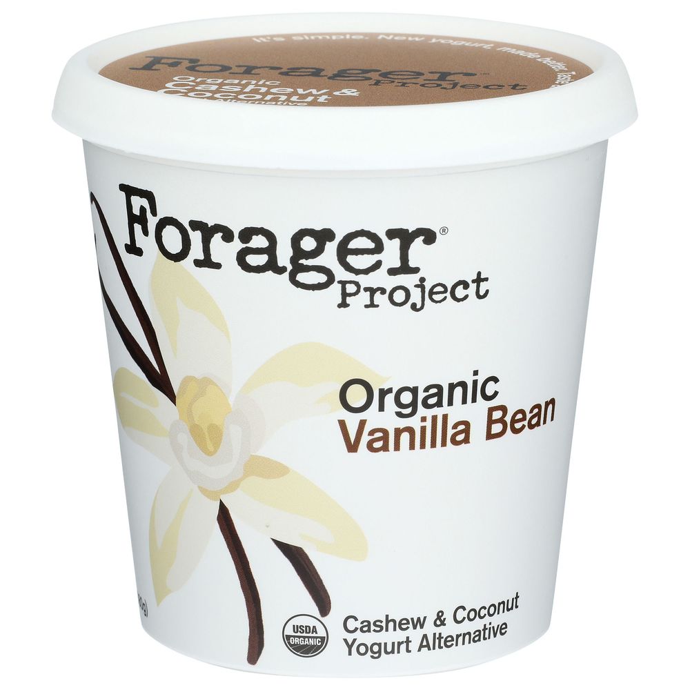 Forager Organic Vanilla Bean Cashewmilk Yogurt, 24 Fluid Ounce -- 6 per ...