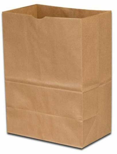 Duro Hilex Poly Kraft Virgin Paper BBL Sacks Bag Case | FoodServiceDirect