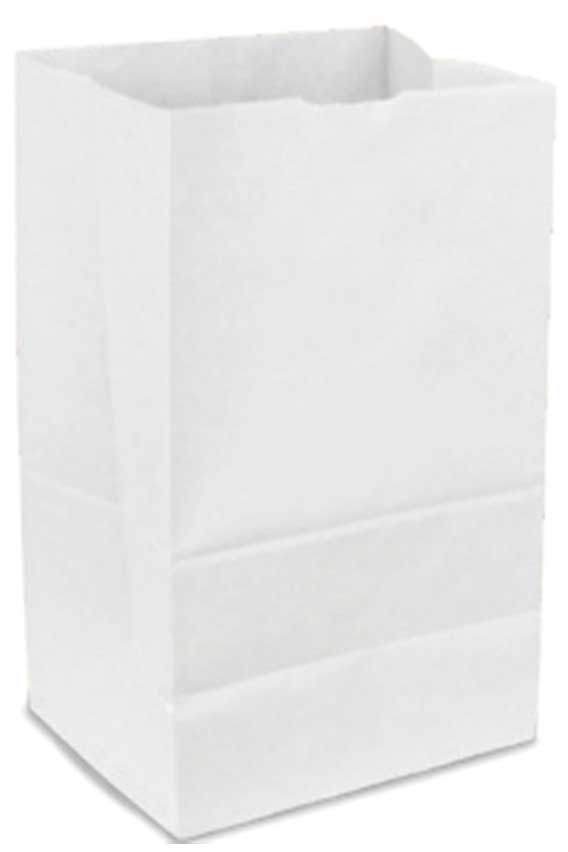 Duro Hilex Poly Kraft Self Opening Style Bag Case | FoodServiceDirect
