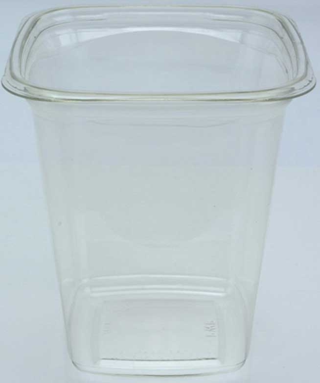 Pactiv RPET Clear Square Deli Container Case | FoodServiceDirect