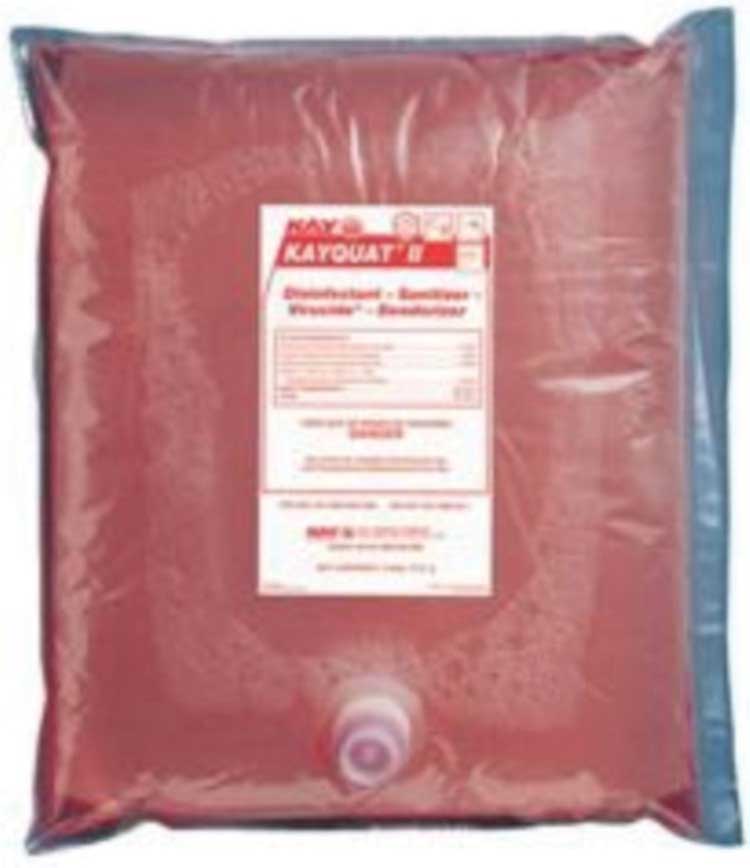 Kay Quat II Hard Surface Sanitizer Case | FoodServiceDirect