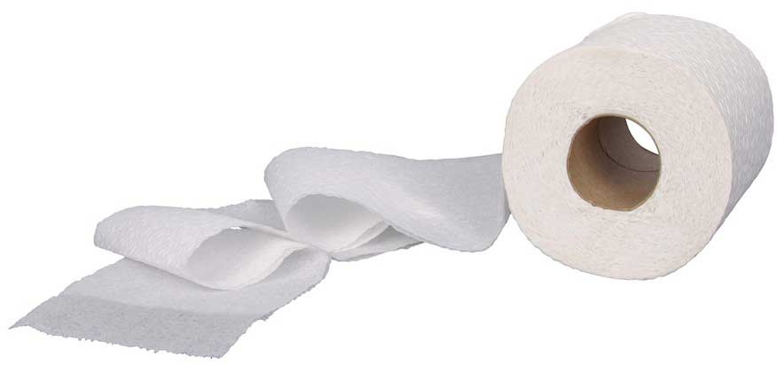 Essity Prime Source 2 Ply White Single Roll Toilet Tissue Paper Case ...