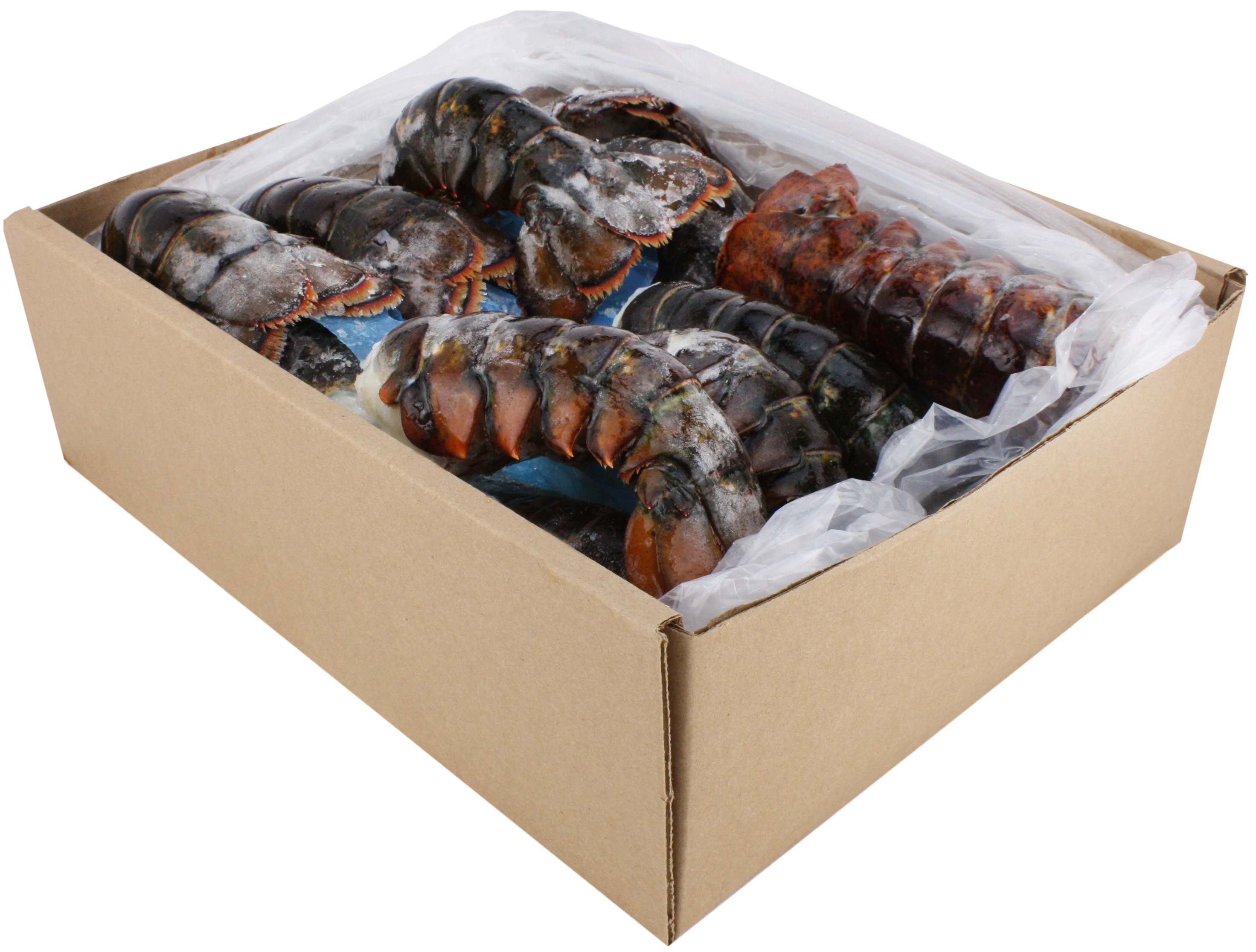 Seamazz Canadian Lobster Tail | FoodServiceDirect