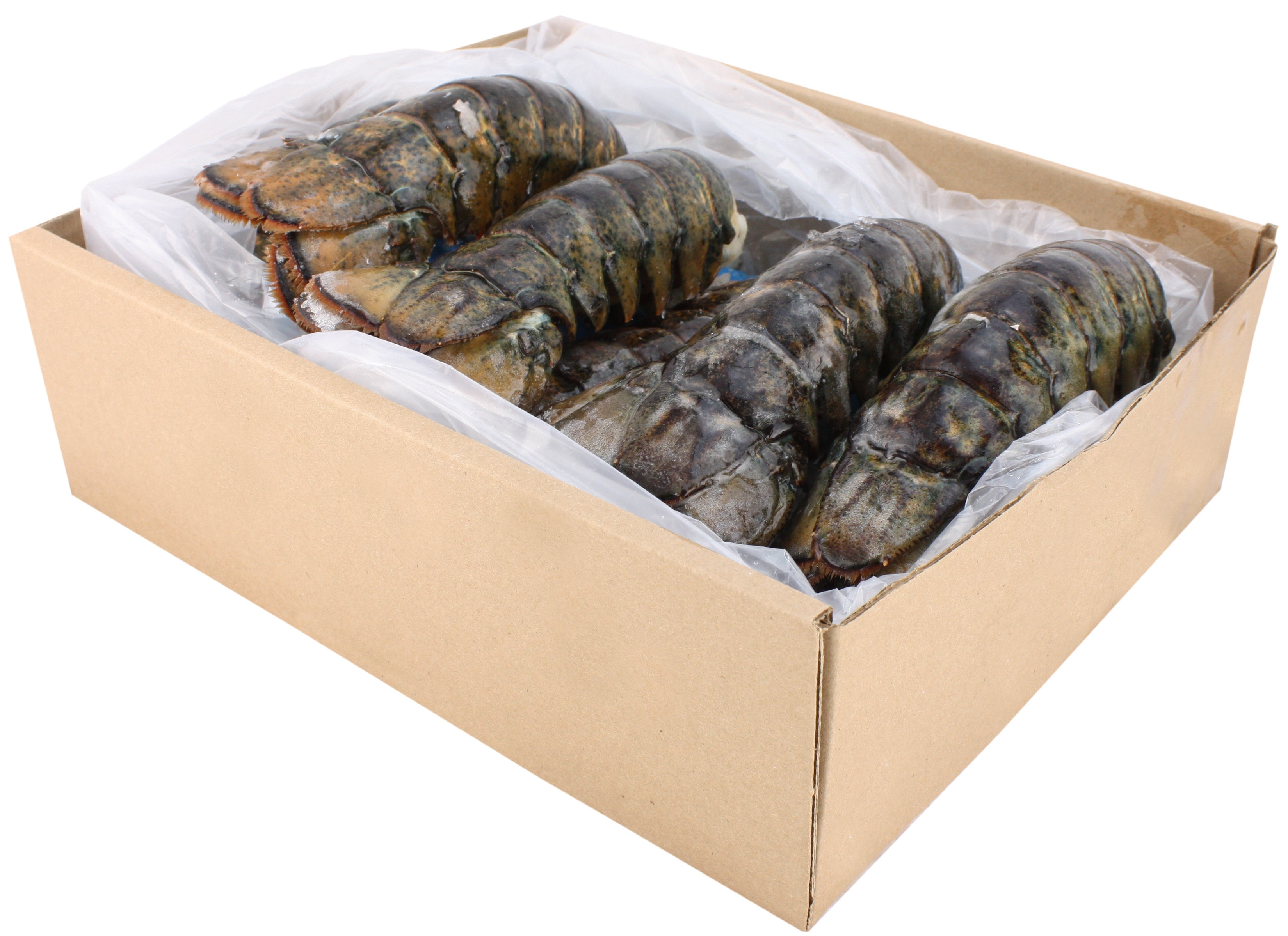 Seamazz Canadian Lobster Tail | FoodServiceDirect