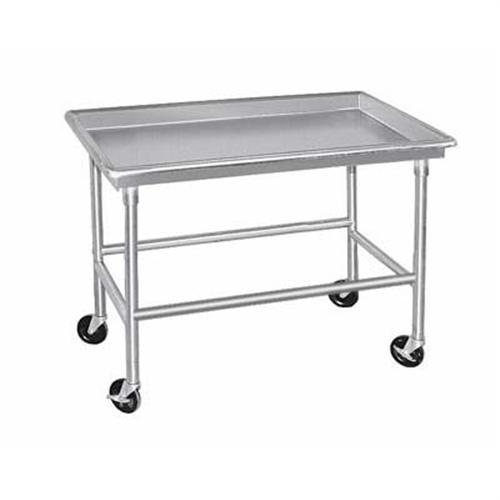 Stainless Steel 3 inch Raised Edge Sorting Table Size: 30 X 48 inch.