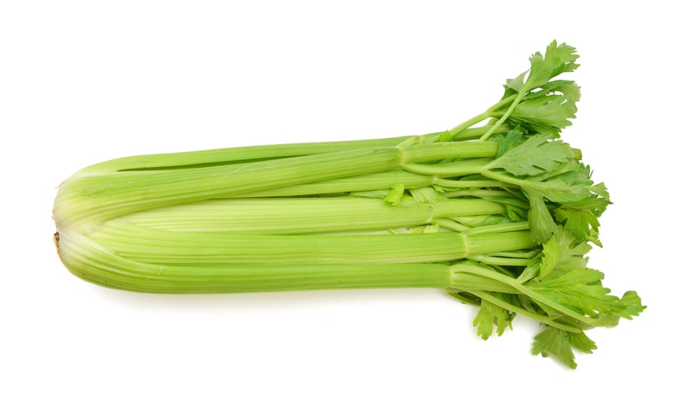 Collins Produce Celery LG 36CT